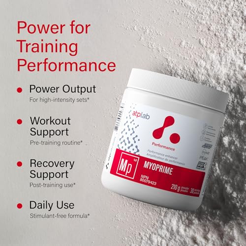 creatine supplement for muscle recovery
