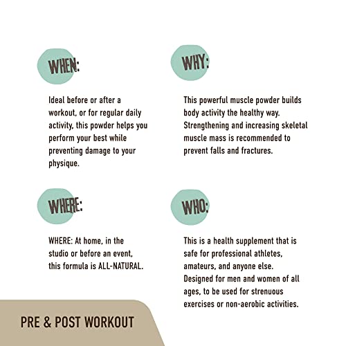 creatine supplement for strength training