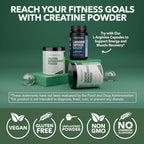 creatine supplement for strength training