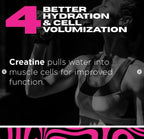 creatine supplement for workout recovery