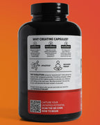 creatine supplement for workout recovery