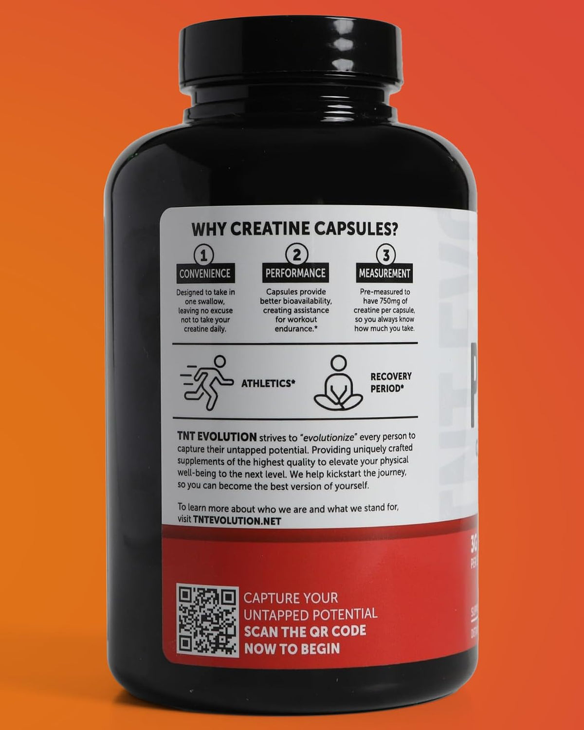 creatine supplement for workout recovery