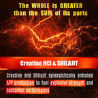 creatine with shilajit benefits