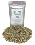 Creeping Charlie herbal tea benefits