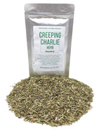 Creeping Charlie herbal tea benefits