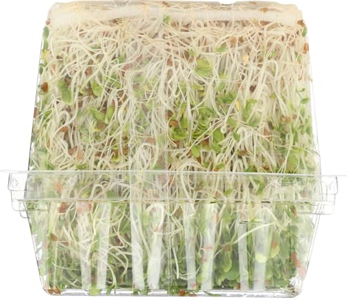 crunchy alfalfa sprouts for sandwiches