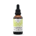 Cryptolepis alcohol-free immune support