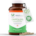 Cryptolepis concentrate for immune health