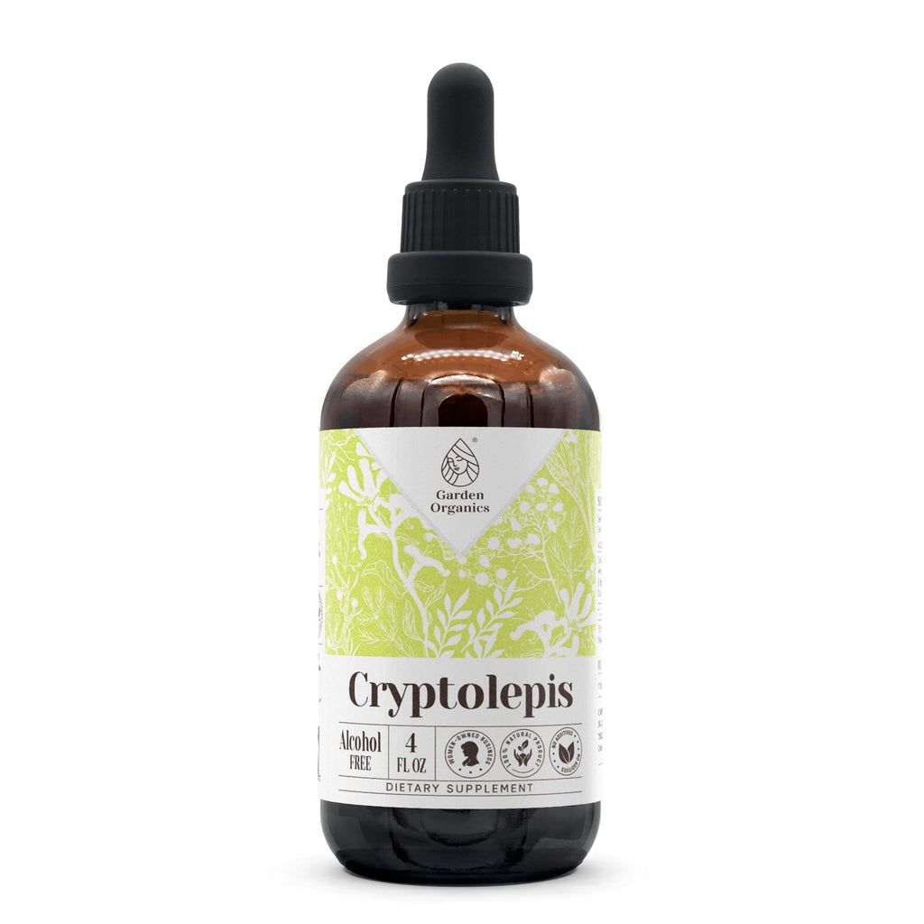 Cryptolepis immune system tincture