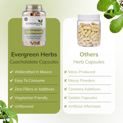 Cuachalalate for skin rejuvenation