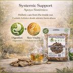 Cuachalalate tea rich in antioxidants