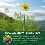 Culinary grade herbal tea blend