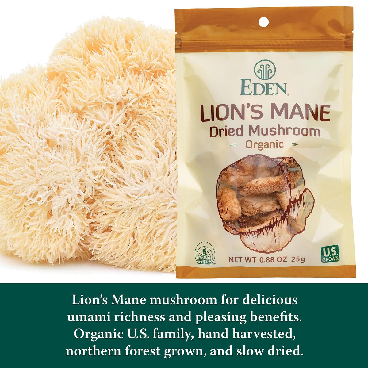 Culinary uses for Lion's Mane