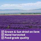 culinary uses of dried lavender