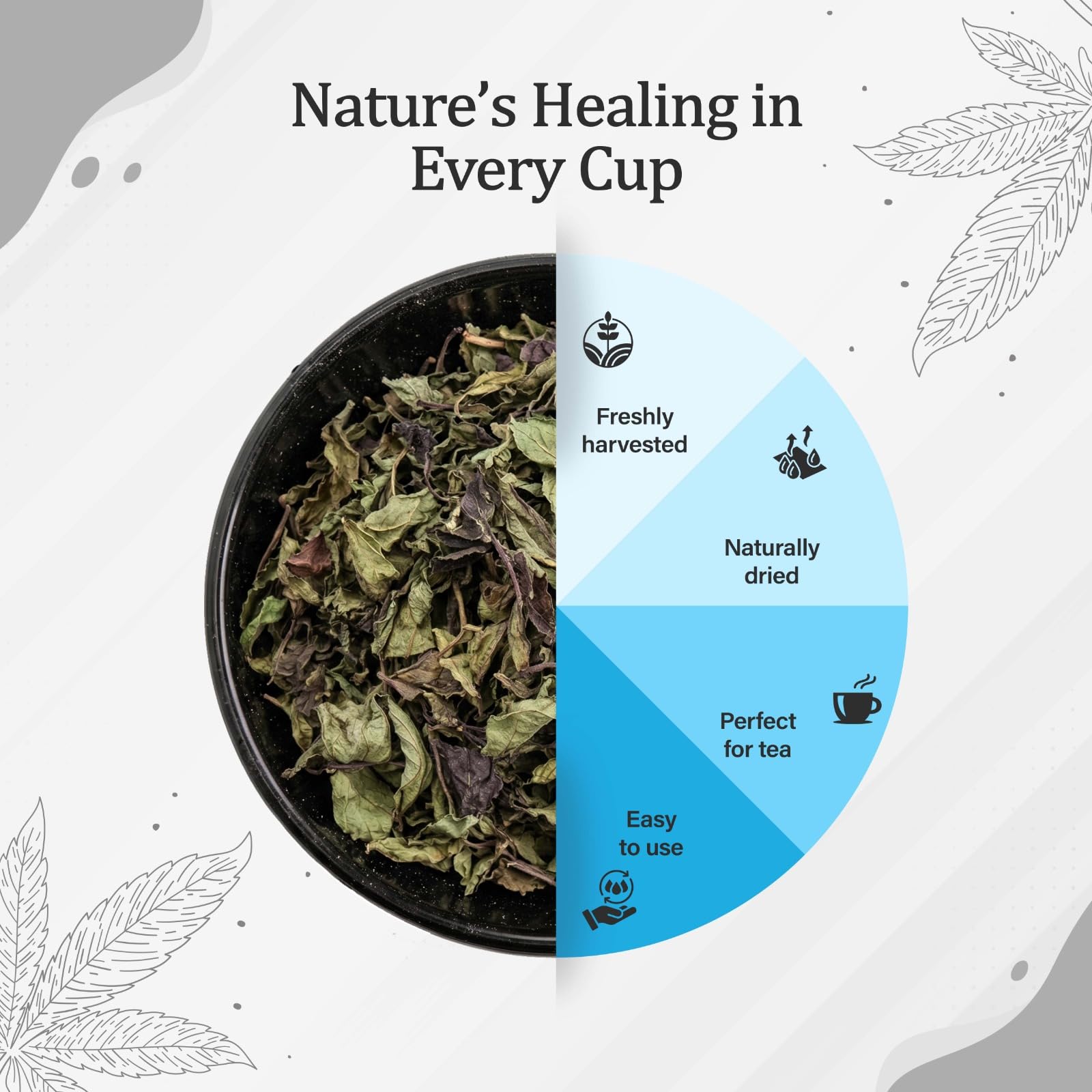 Culinary uses of Holy Basil