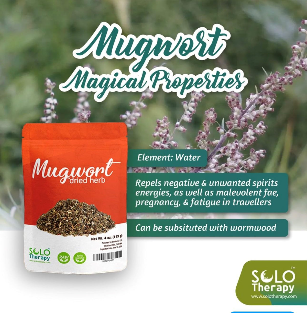 Culinary uses of mugwort herb
