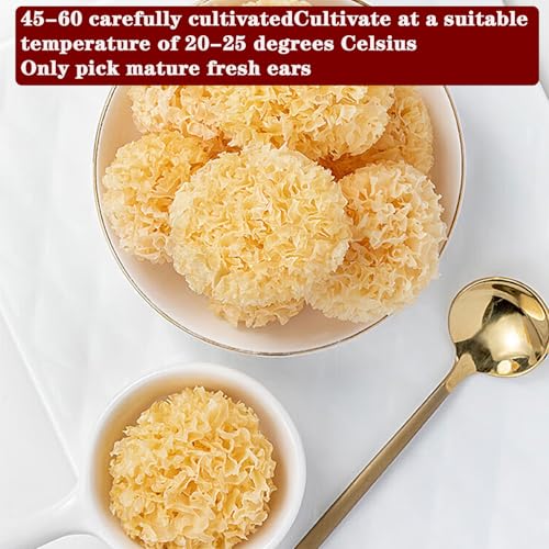 Culinary uses of Tremella mushrooms