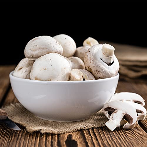Cultivate fresh mushrooms at home