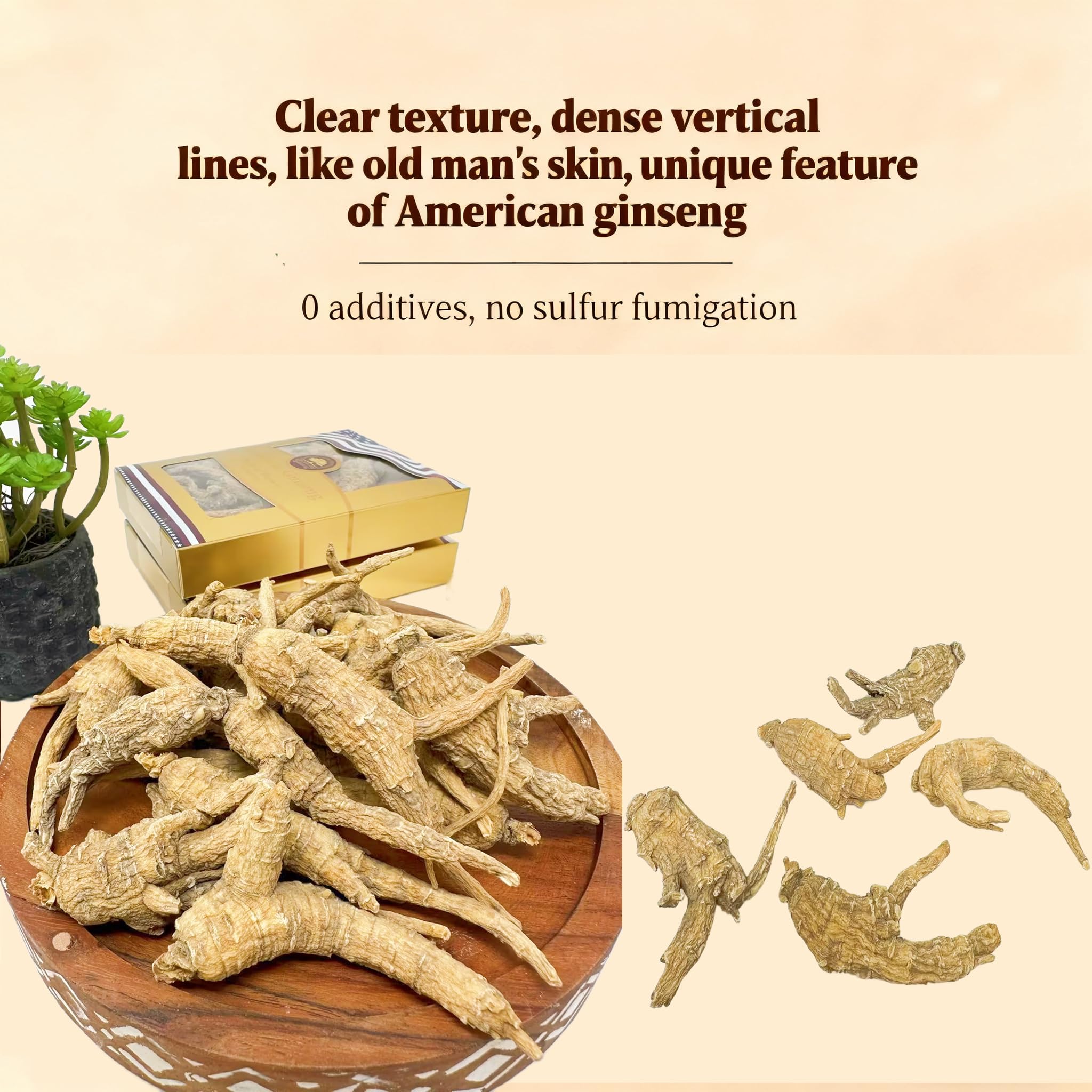 cultivated ginseng root for health
