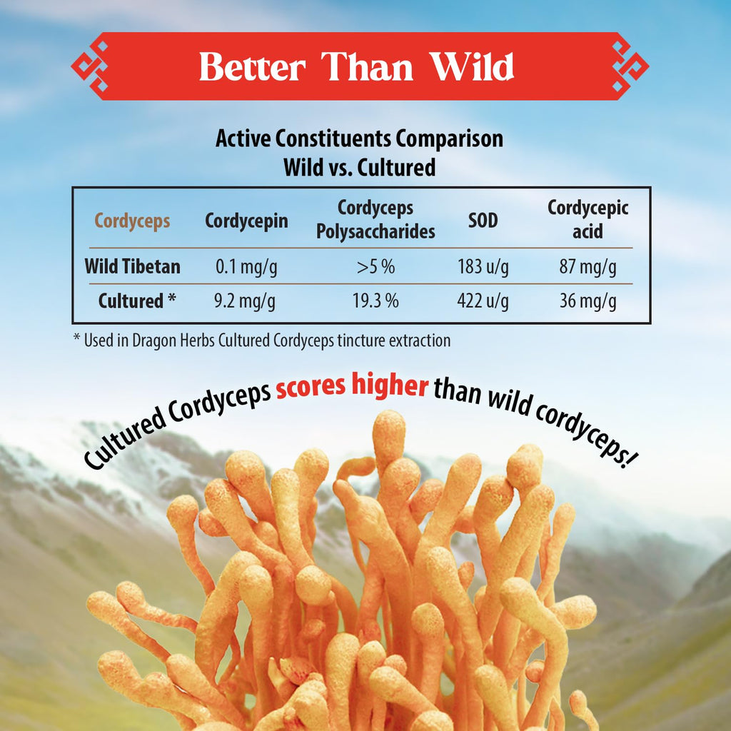 Cultured Cordyceps for mental clarity