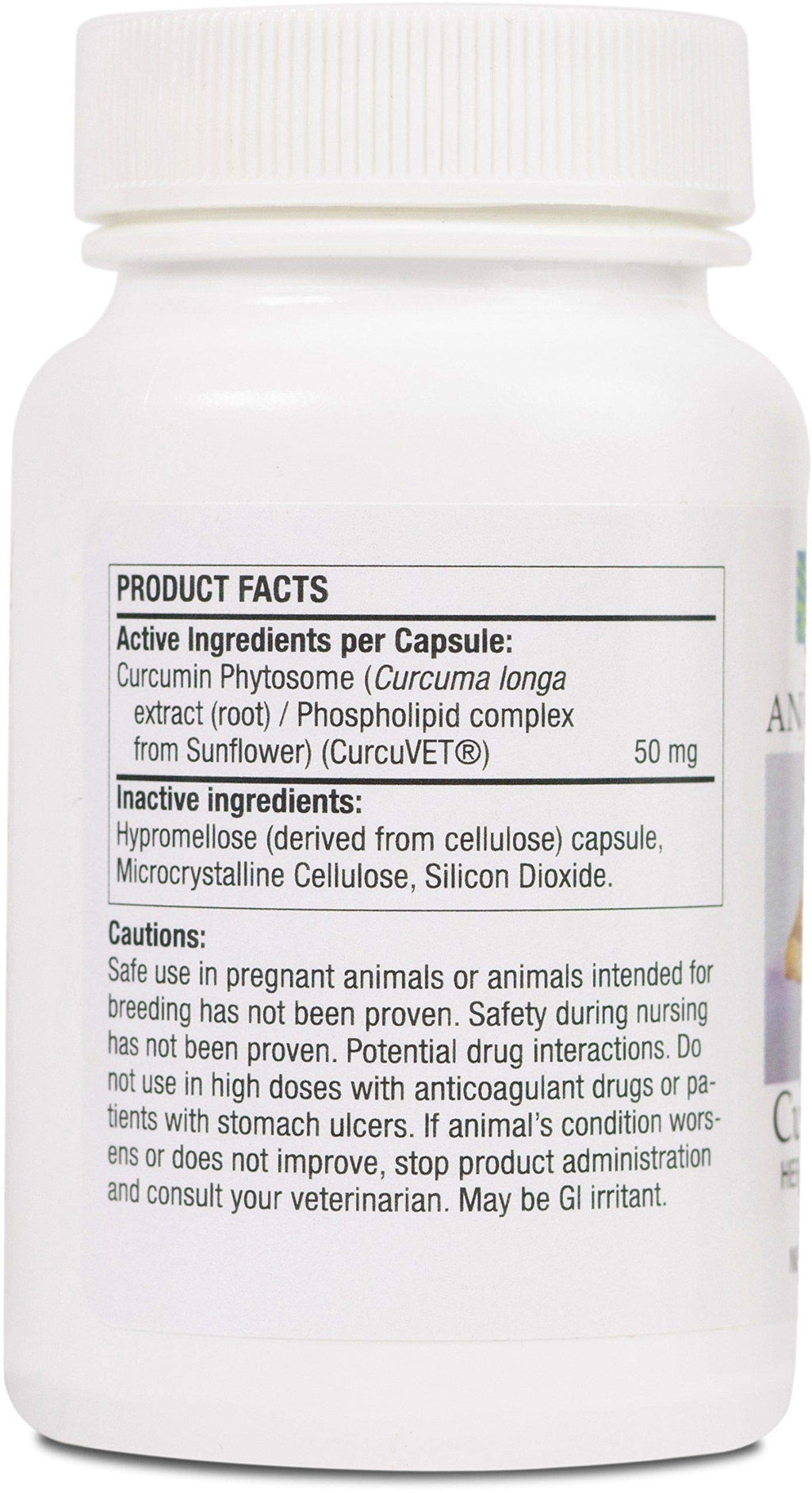 curcumin capsules for daily vitality