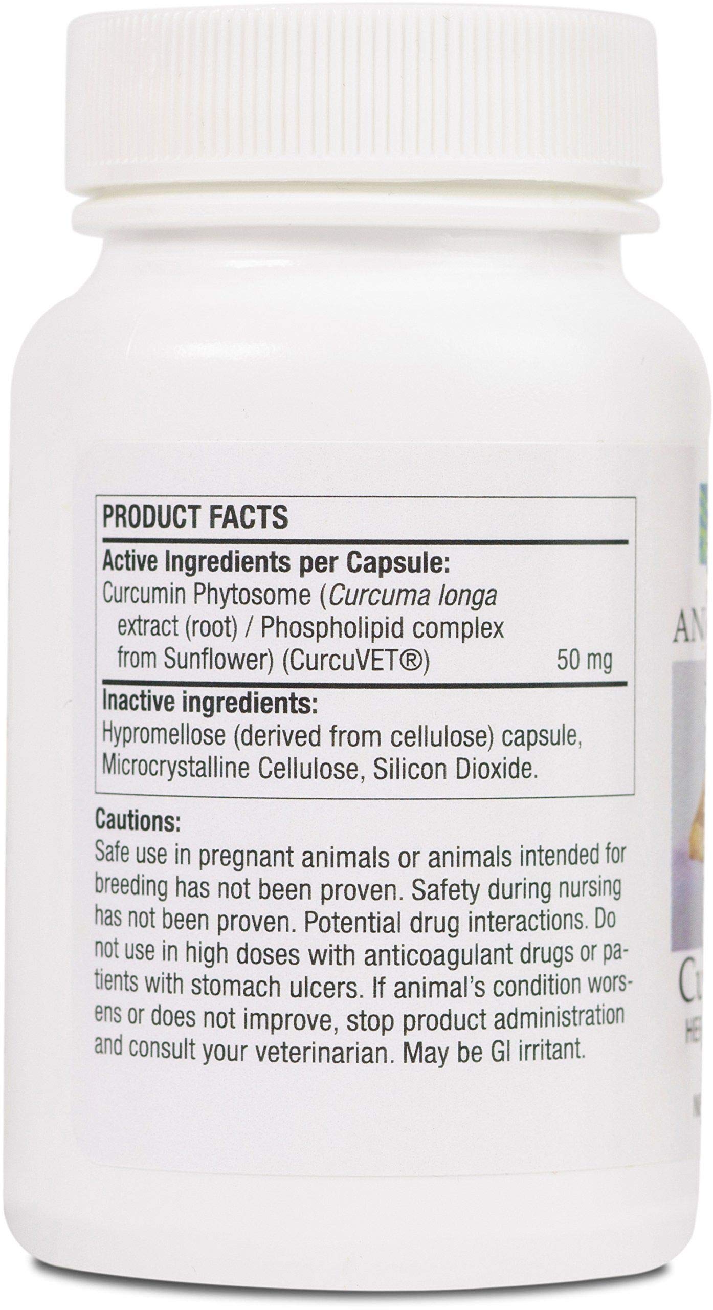 curcumin capsules for daily vitality