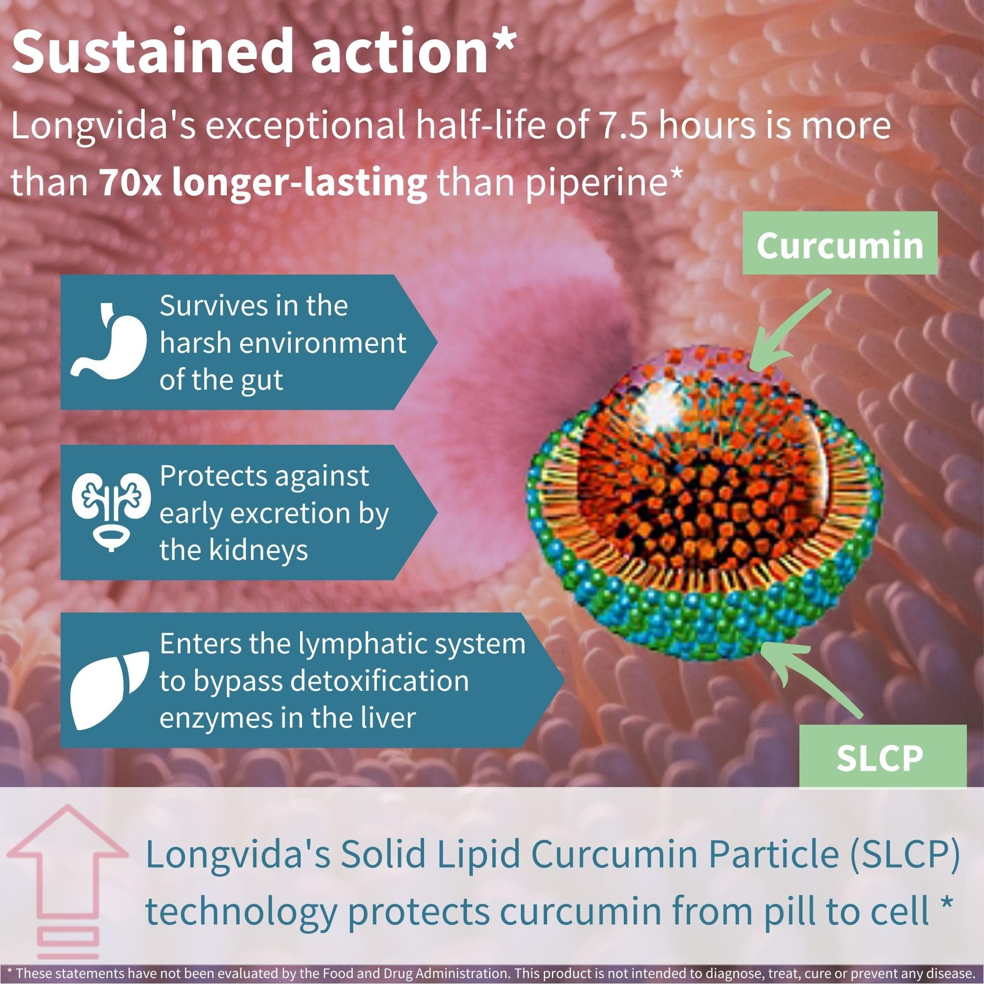 curcumin for digestive health