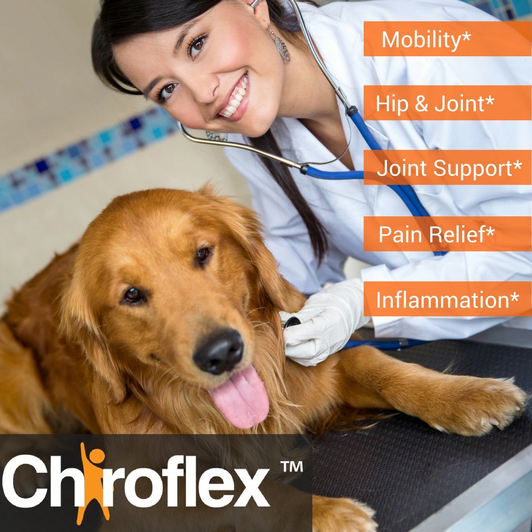 curcumin for dog inflammation relief