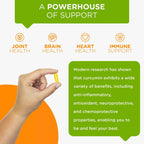 curcumin for immune support