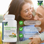 Curcumin for inflammation support