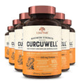 curcumin for joint health support