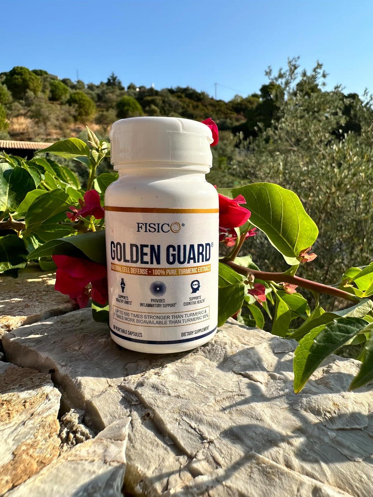 curcumin for joint health support
