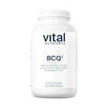 curcumin joint support supplement