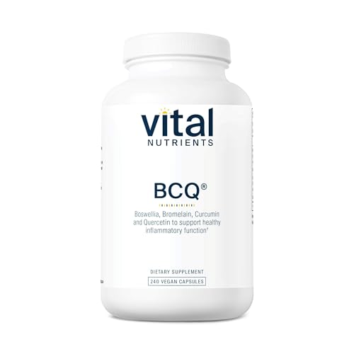curcumin joint support supplement