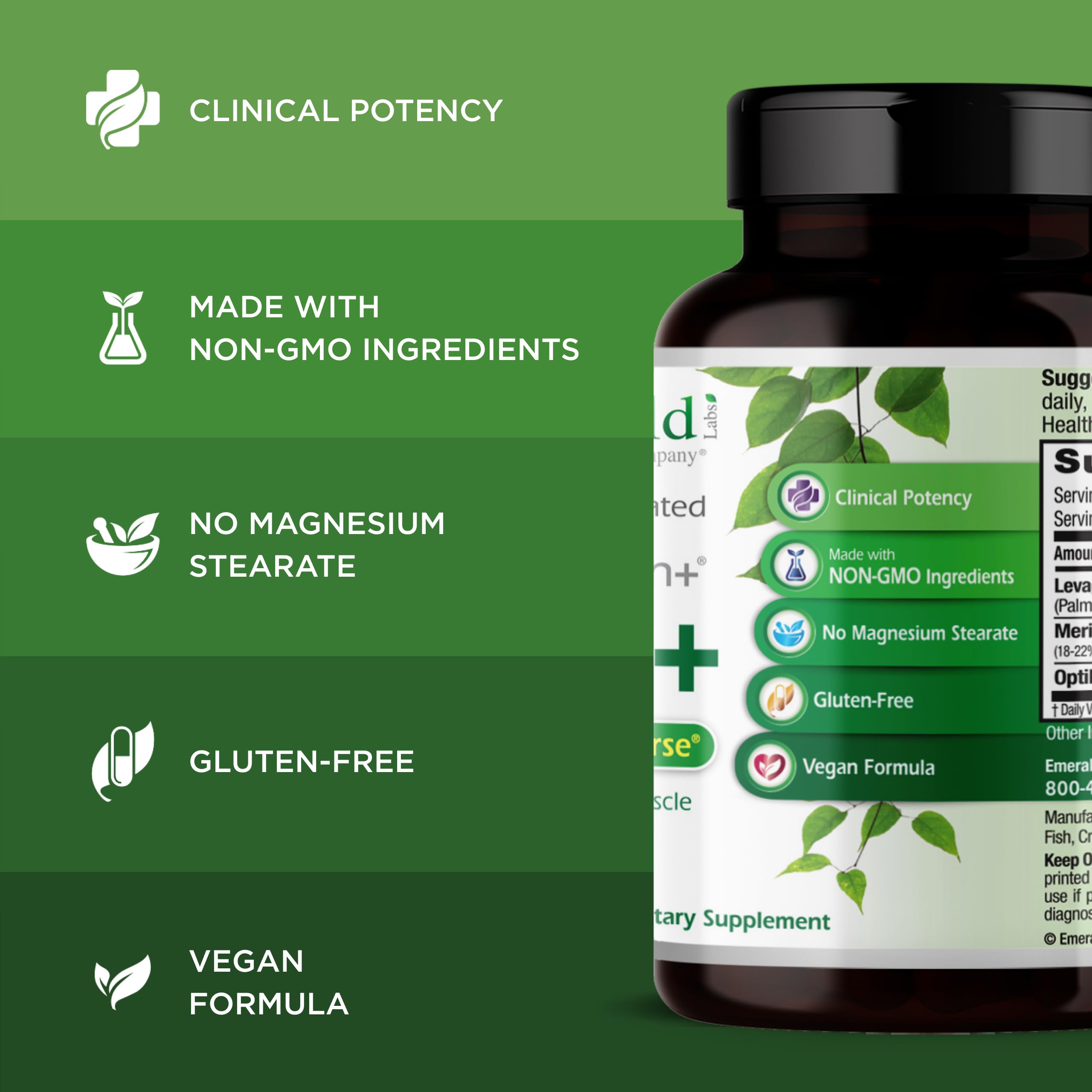 Curcumin phytosome for better absorption