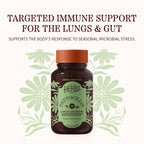 curcumin softgels for inflammation relief