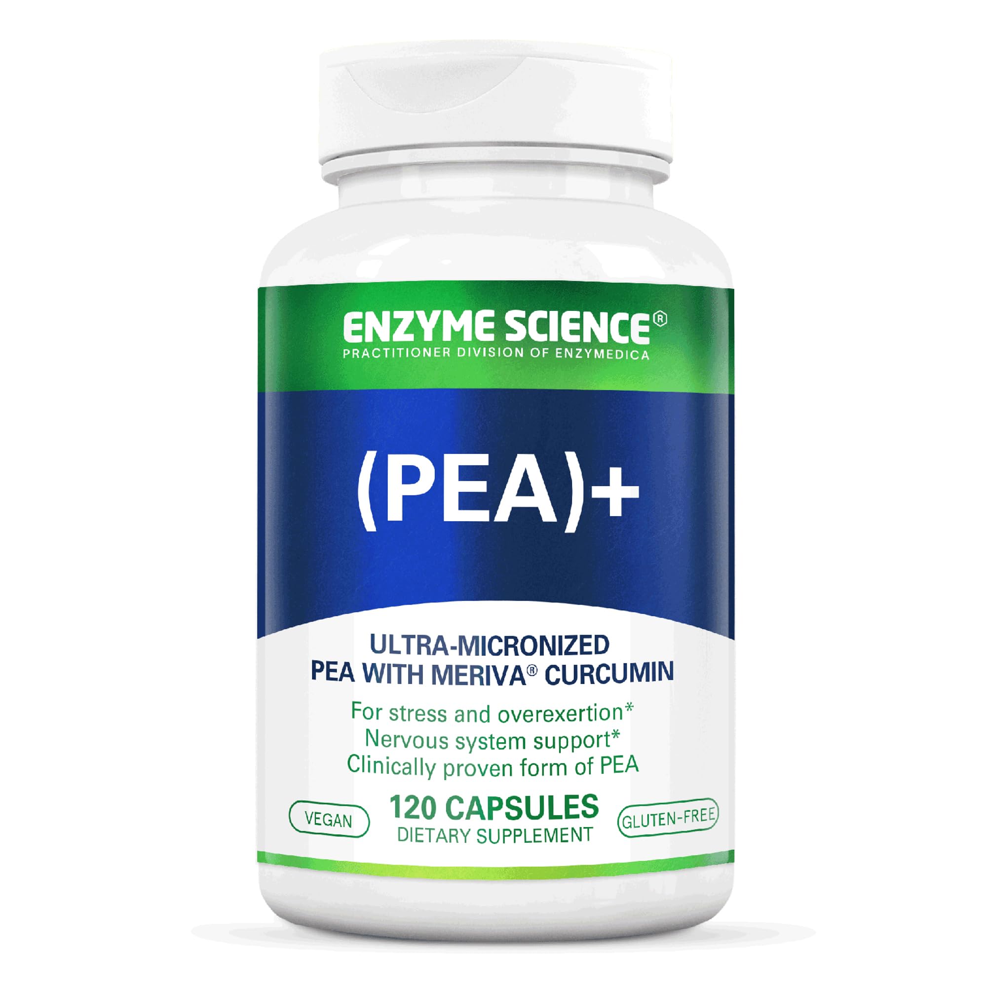 curcumin supplement for immune support