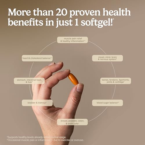 curcumin supplement for wellness