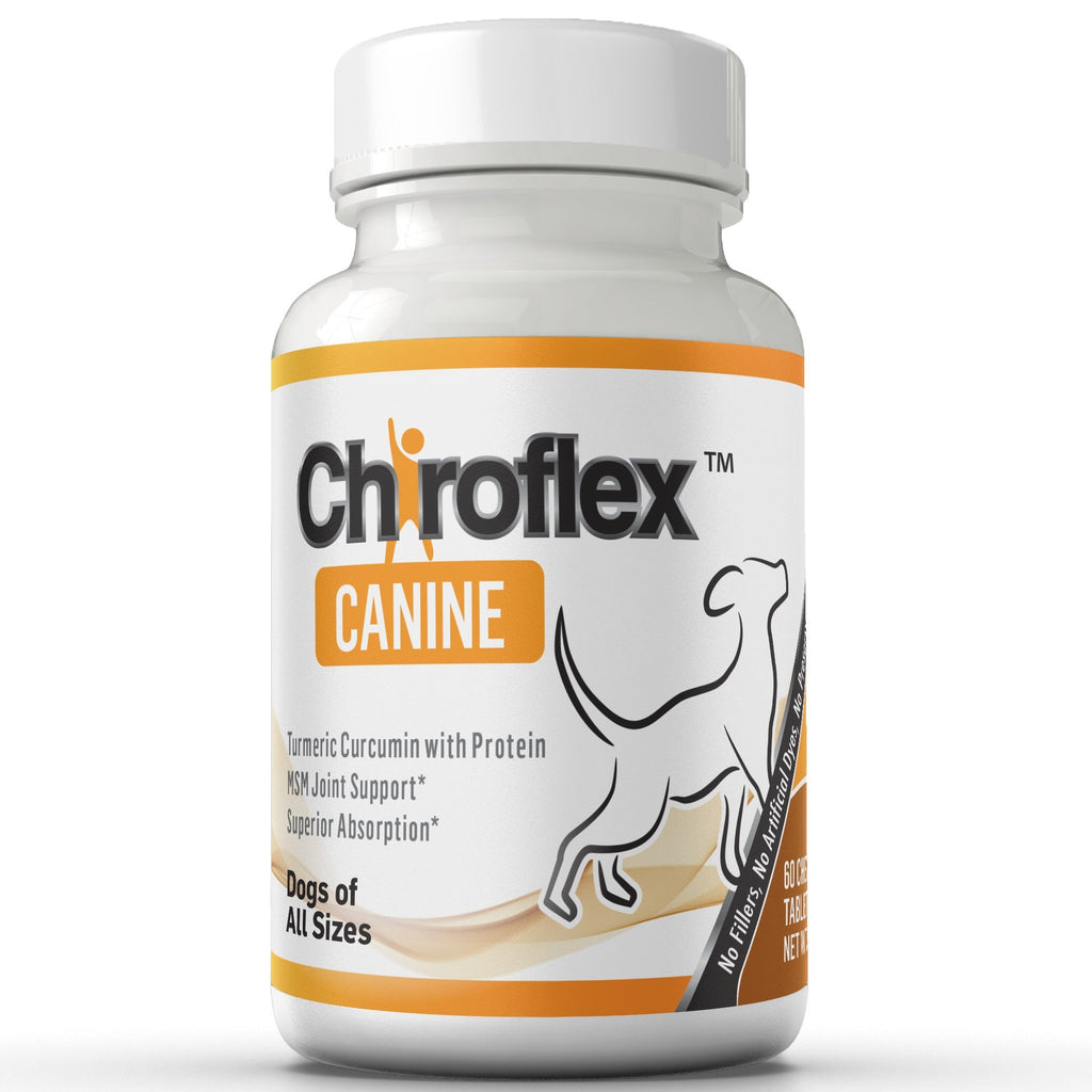 curcumin tablets for dog health
