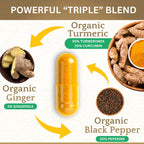 curcumin with black pepper absorption