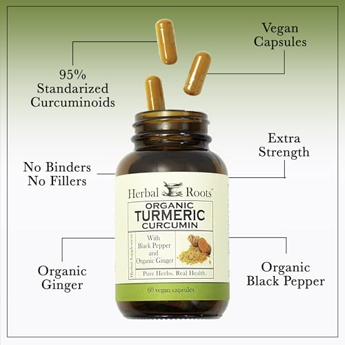 curcumin with black pepper absorption