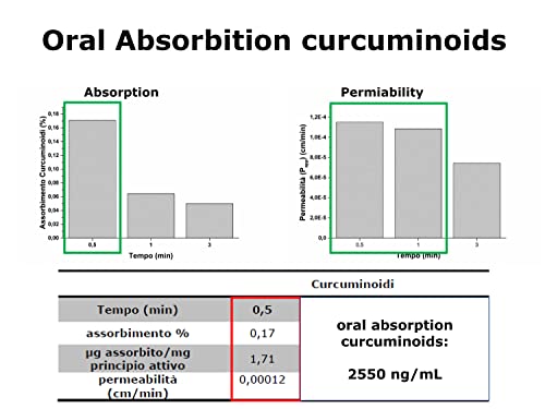 curcumin with black pepper benefits