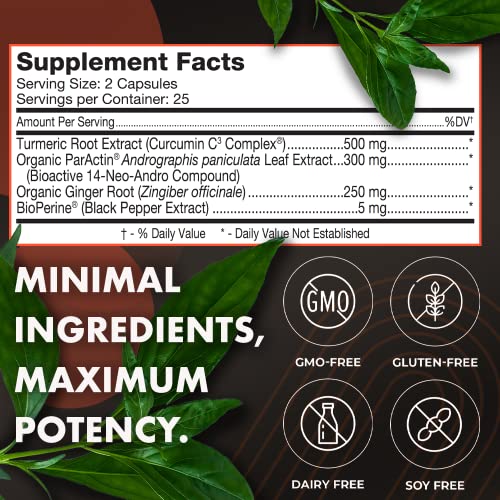 curcumin with black pepper benefits