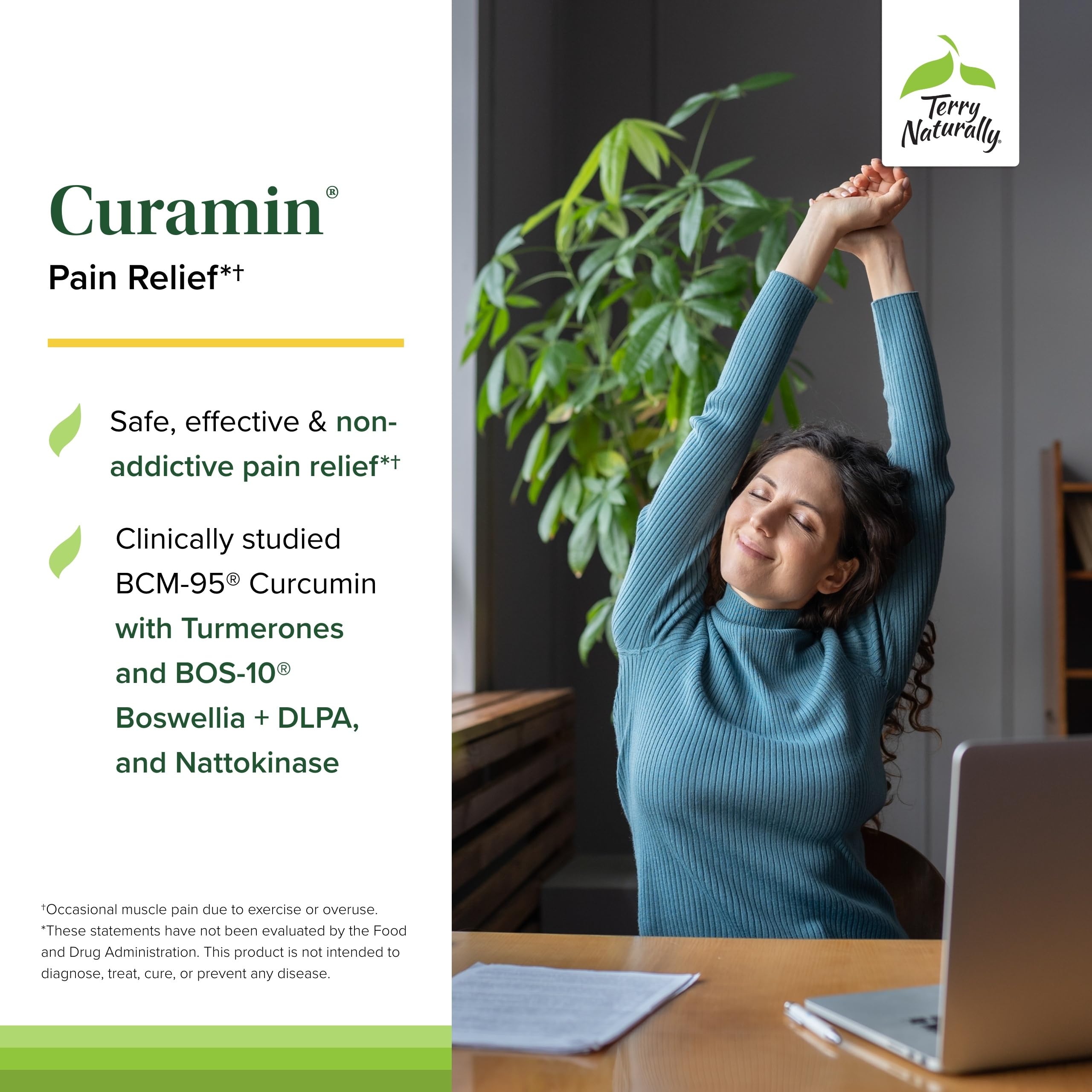 curcumin with boswellia extract