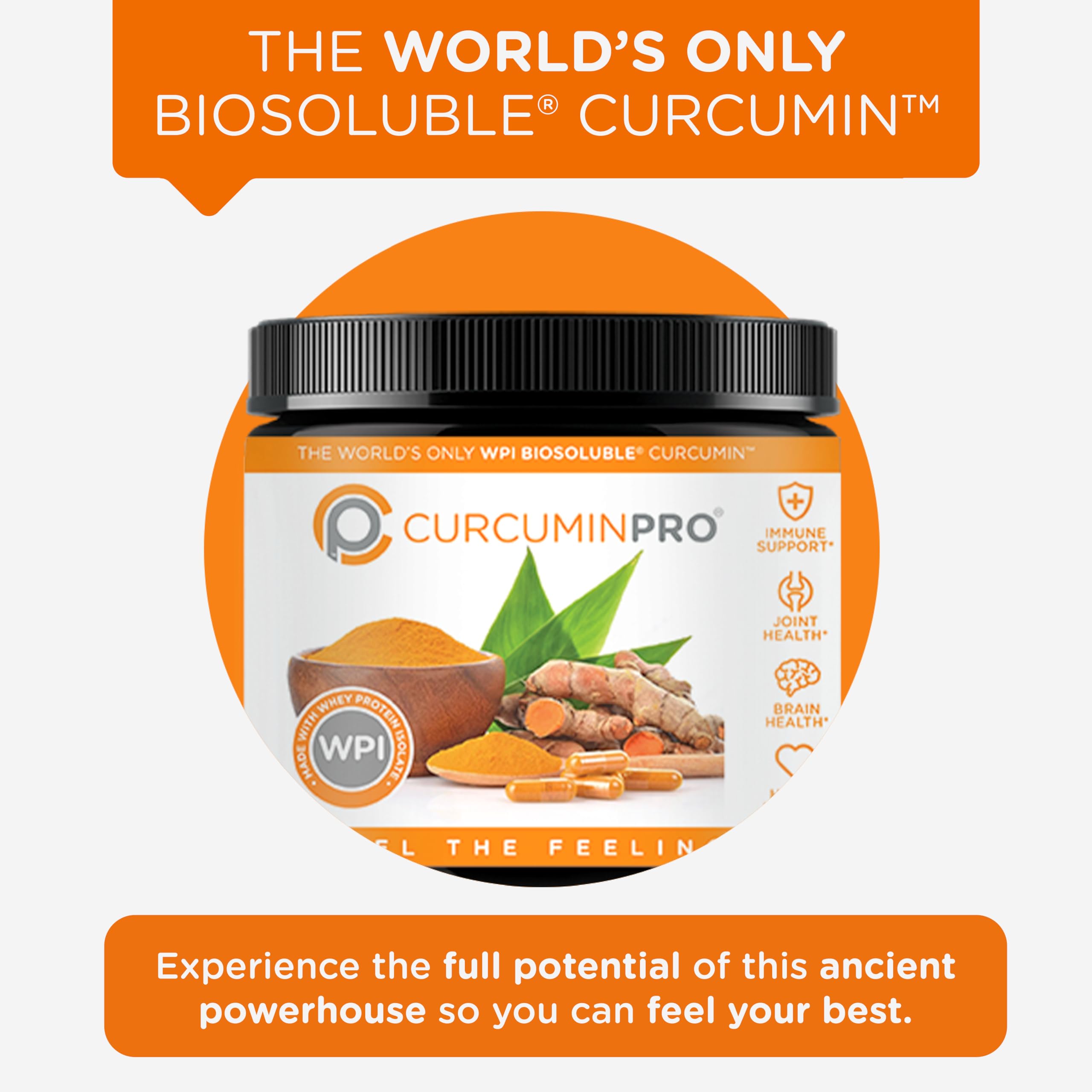 curcumin with piperine benefits