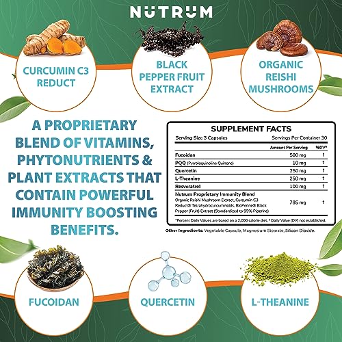 curcumin with piperine for absorption