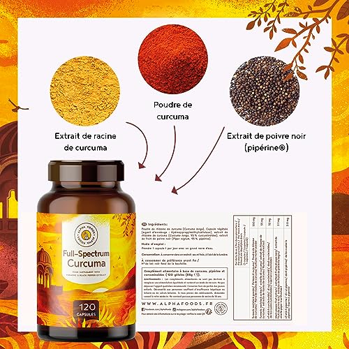 curcuminoids for enhanced absorption