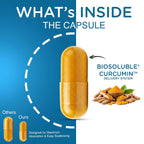 CurcuminPro turmeric for digestive health