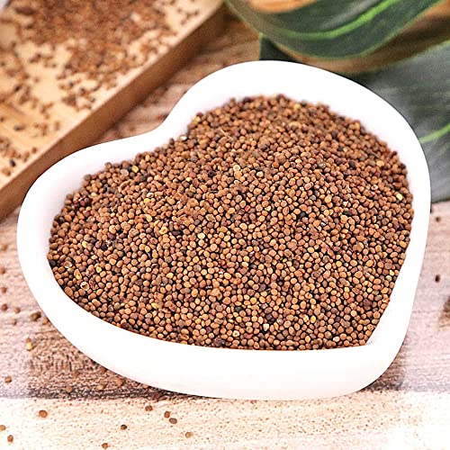 Cuscuta Chinensis nutritional support