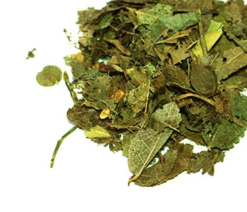 cut and sifted bilberry leaf benefits